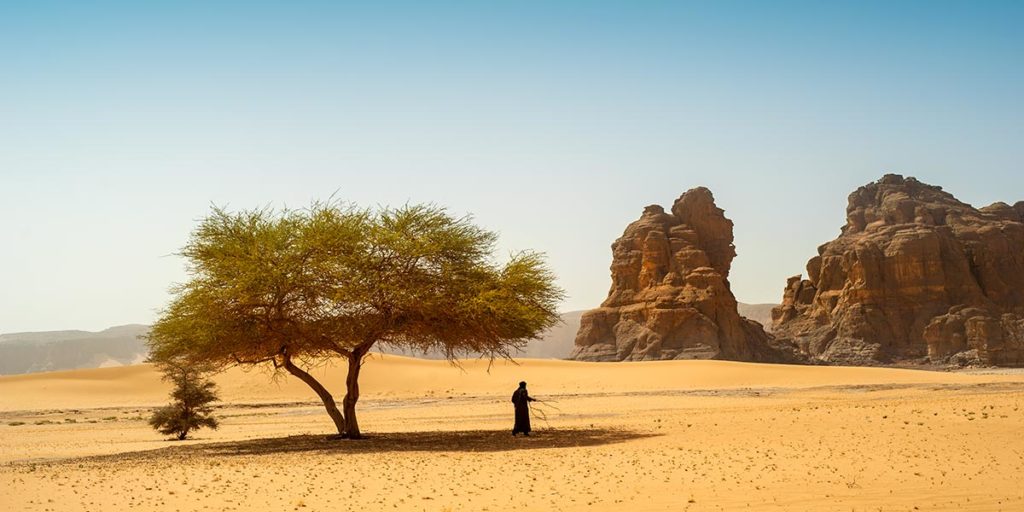Zériba-Voyage, Le Spécialiste Des Voyages Au Sahara.