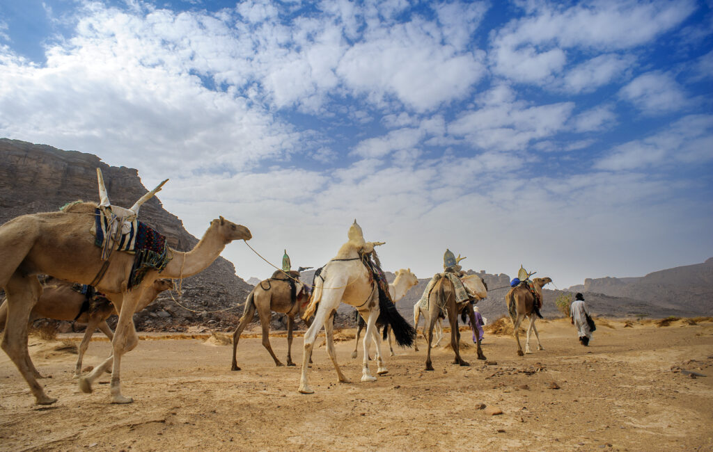 Peintures Et Gravures Rupestres Avec Zériba-Voyage, Djanet.